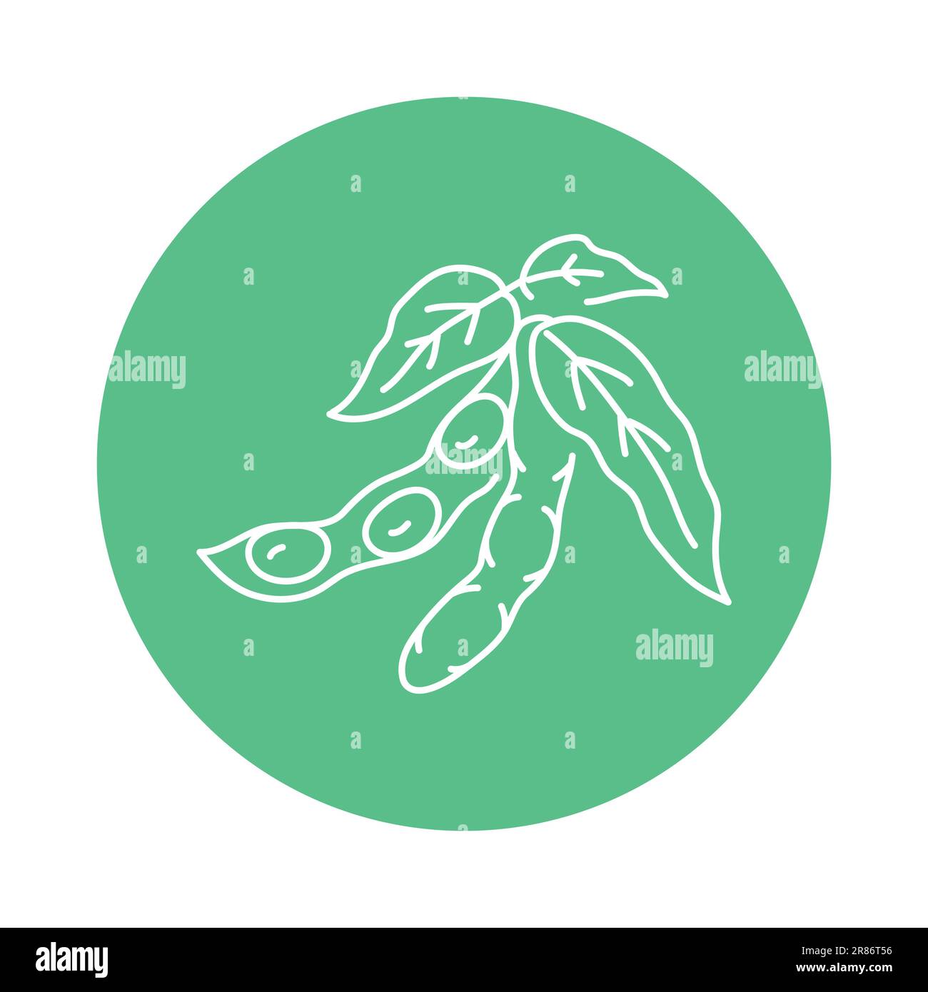 Soybeans black line icon. Organic vegan product. Pictogram for web page ...
