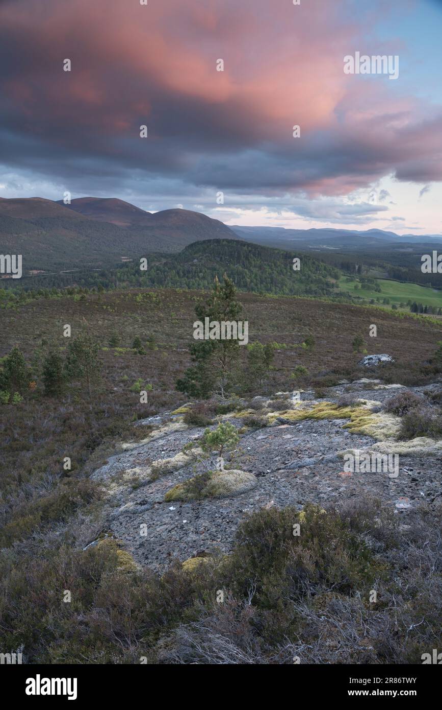 The Cairngorm Mountains viewed from Ord Ban, Loch an Eilean, Scotland ...