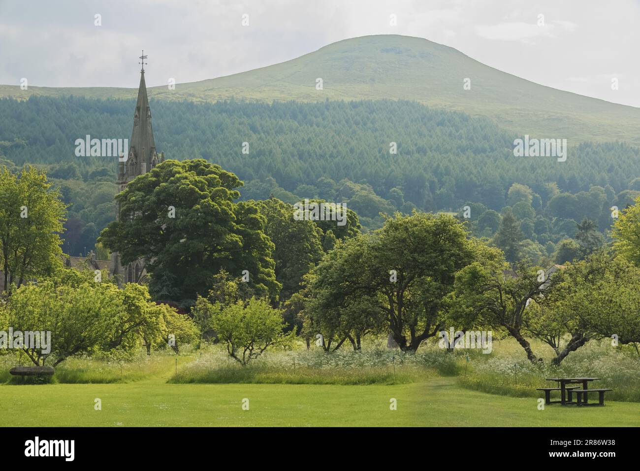 Landscape view of Lomond Hills Regional Park from from the landscaped ...