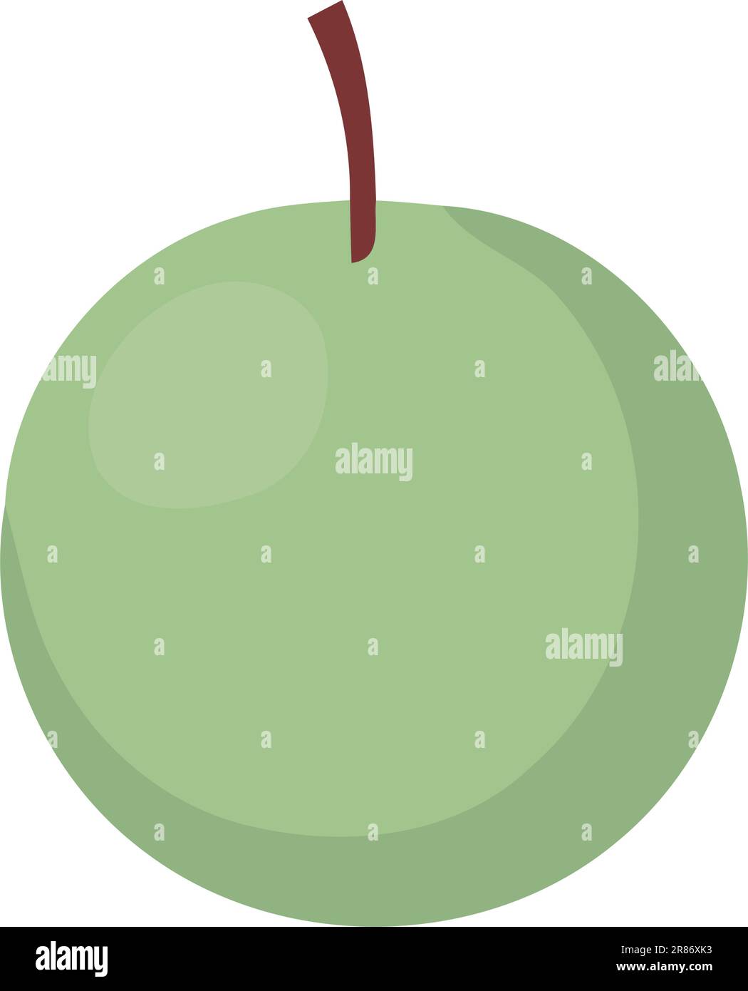 Juicy fruit of green color Stock Vector Image & Art - Alamy