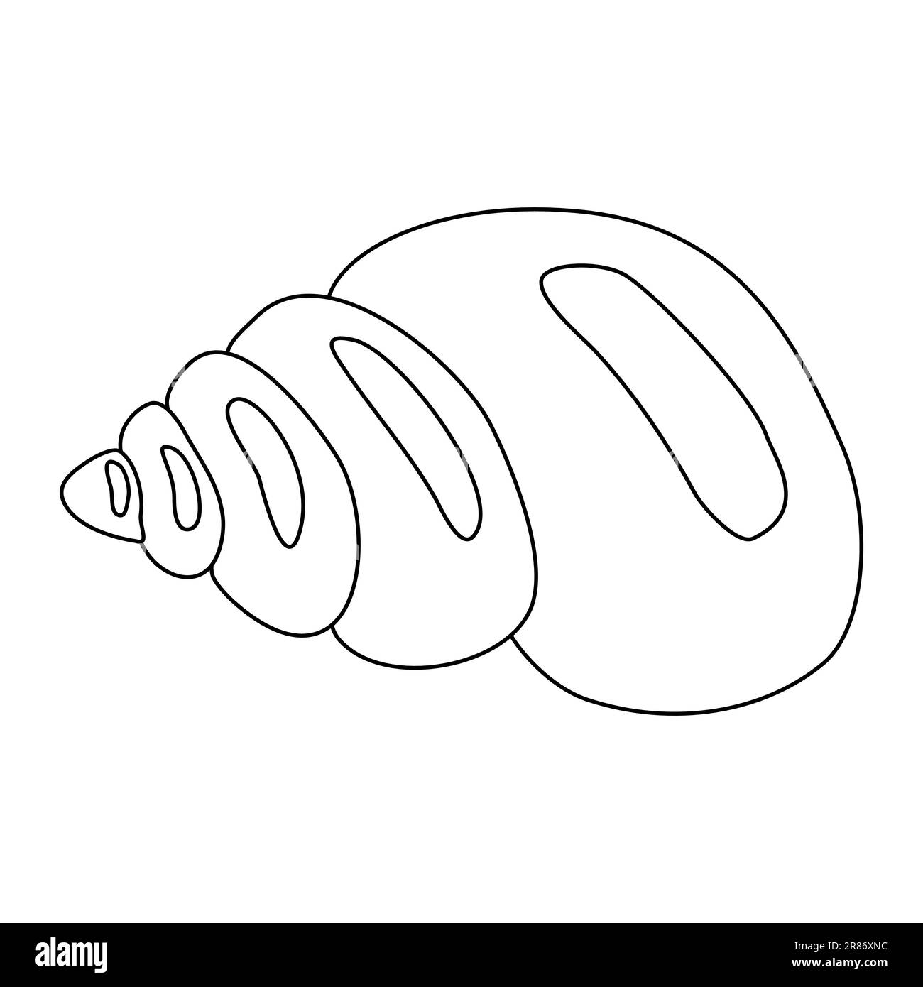 Common sea shell, doodle style flat vector outline illustration for ...