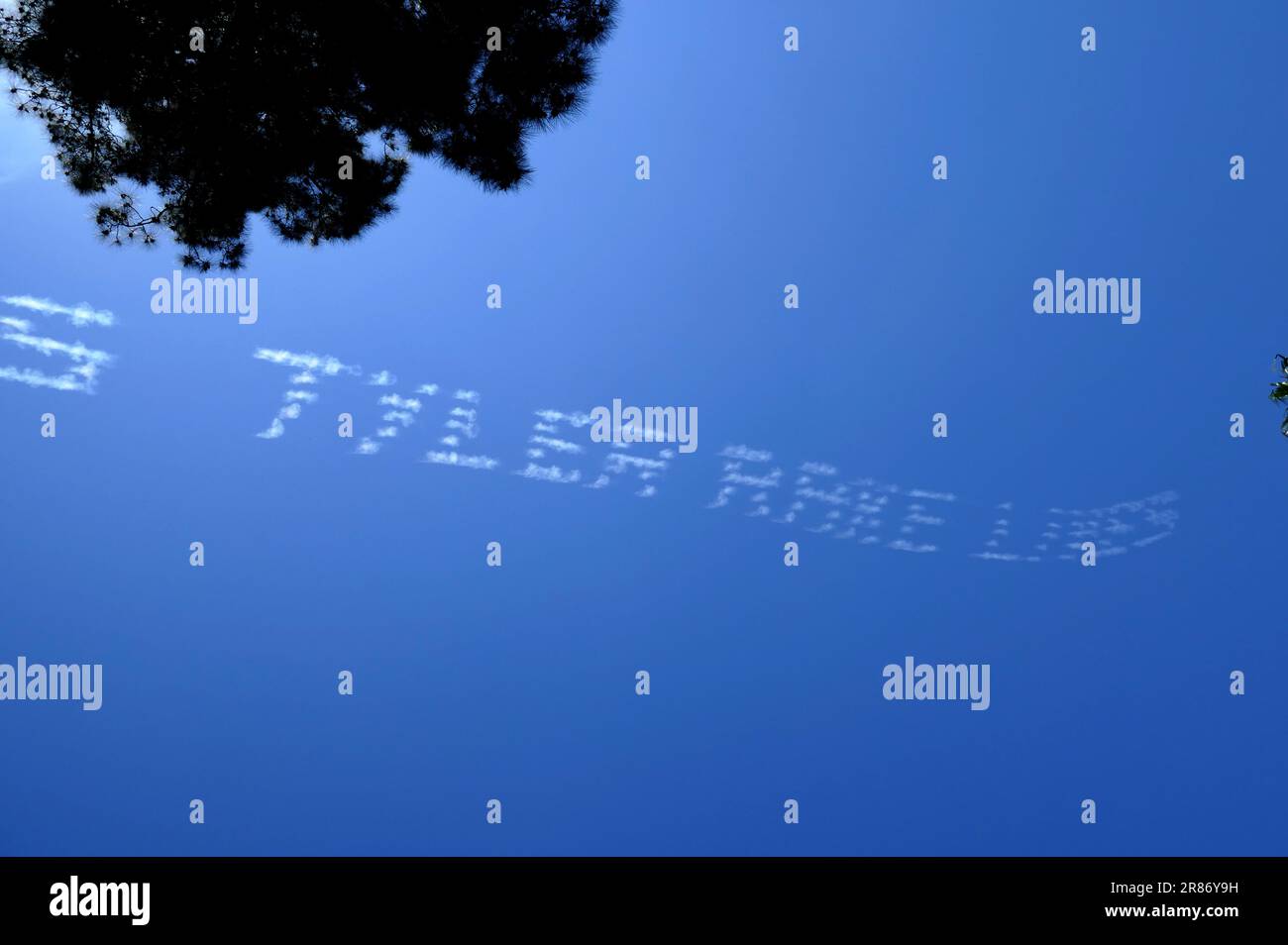 Beverly Hills, California, USA 17th June 2023 Tyler Rake Lives Sky ...