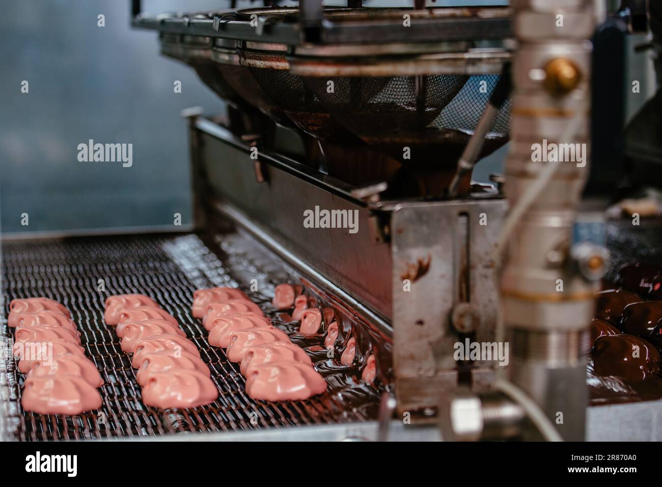 Process of chocolate glazing zephyrs in confectionery on conveyor ...