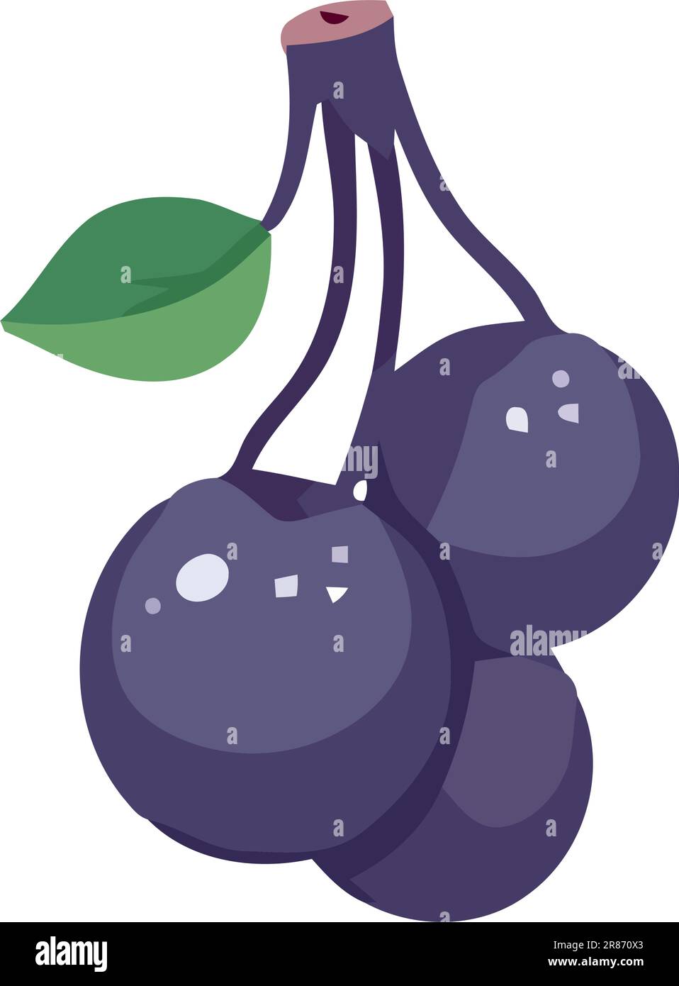 Tree habits Cut Out Stock Images & Pictures - Alamy