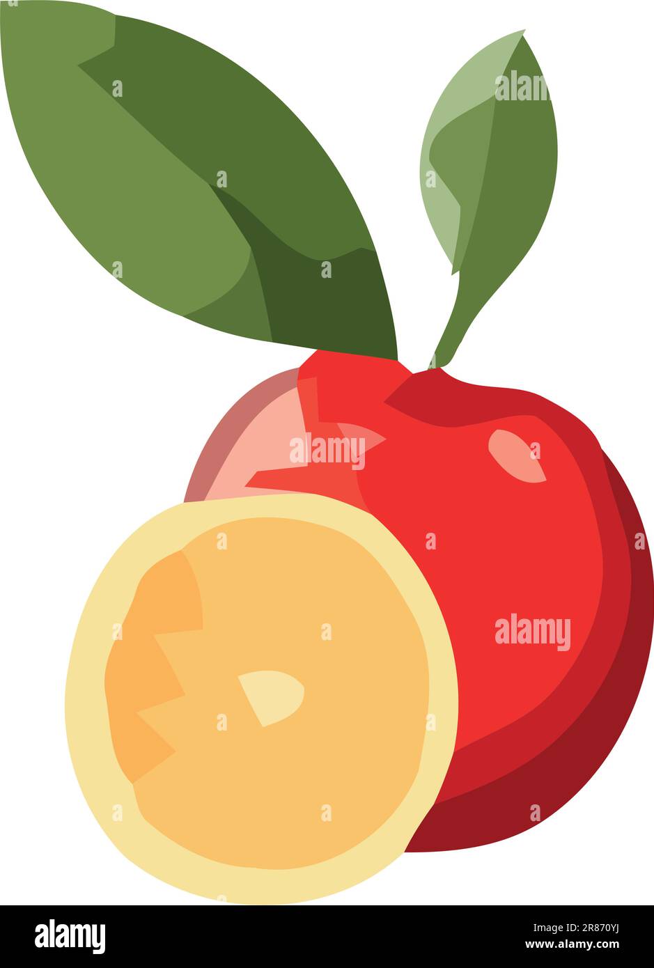 Ripe fruit symbolizes healthy eating and freshness Stock Vector Image ...