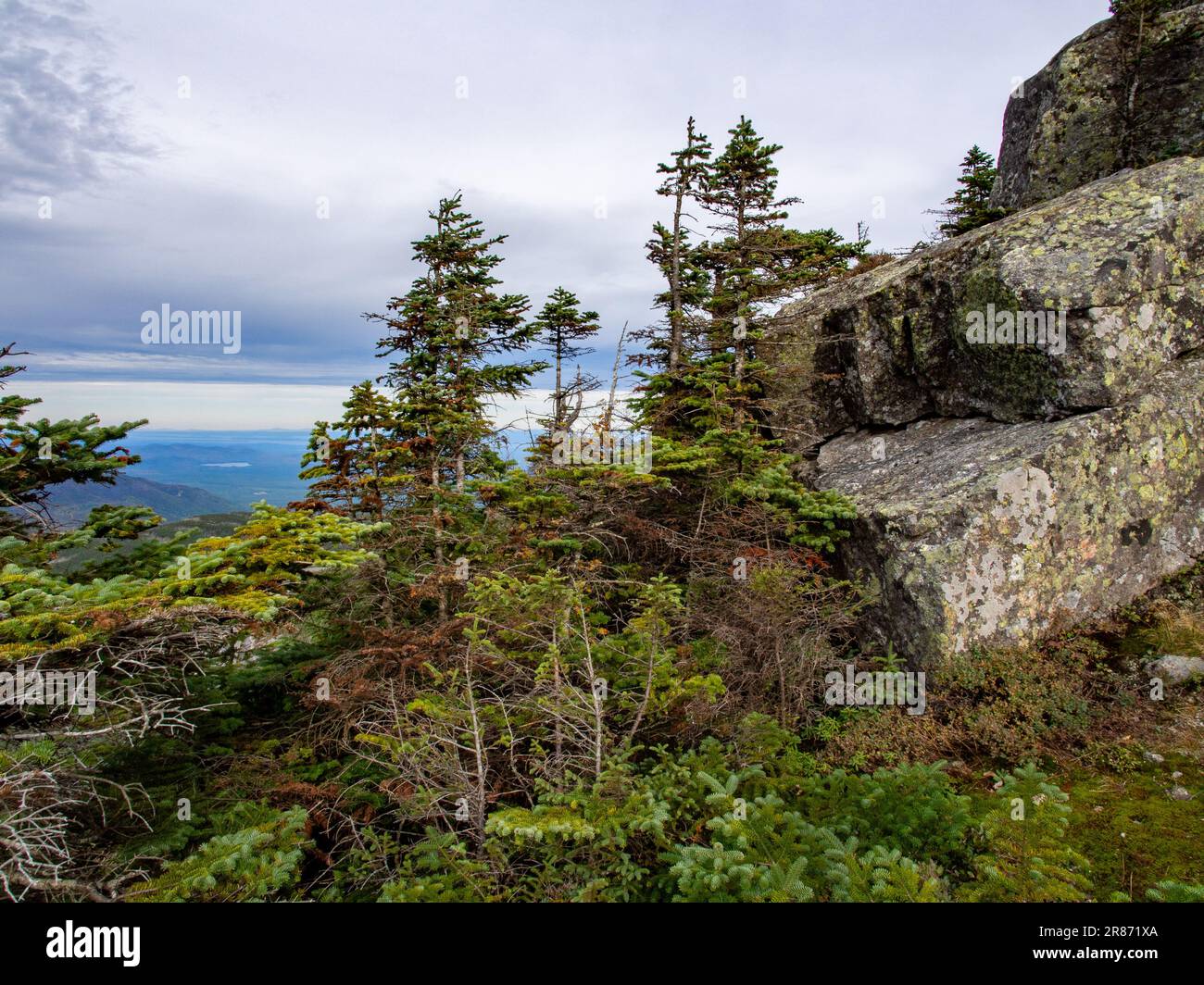 The Adirondack State Park area stretches out behind pine trees and ...