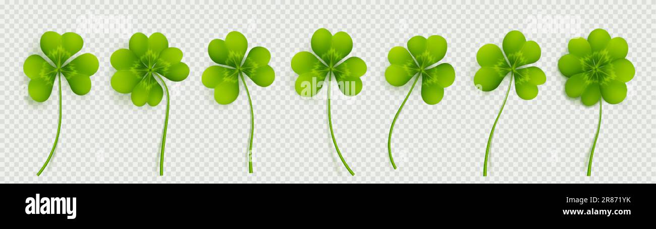 Realistic 3D clover leaves set isolated on transparent background. Vector illustration of green ...