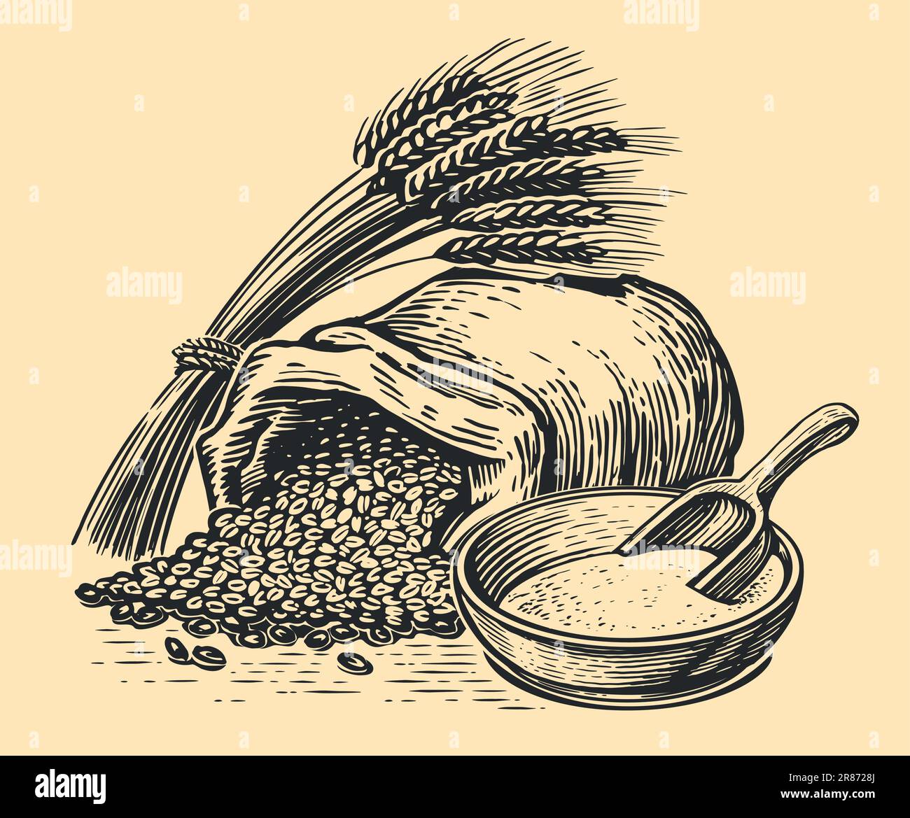 Sack of grain, ears of wheat, bowl of flour and scoop. Vintage sketch ...