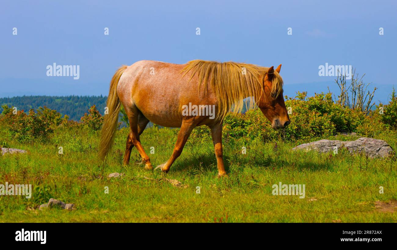 Virginia highlands park hi-res stock photography and images - Alamy