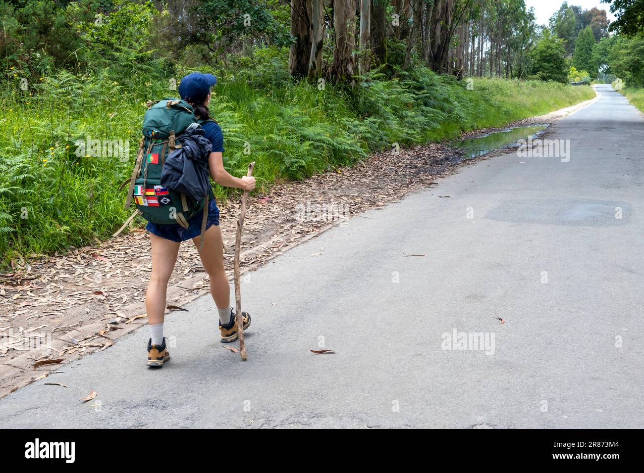 Young woman pilgrim walking a trail of the way of saint james. Camino ...