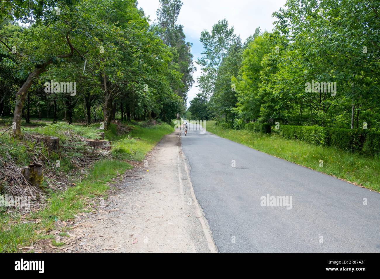 Young woman pilgrim walking on a trail of the way of saint james ...