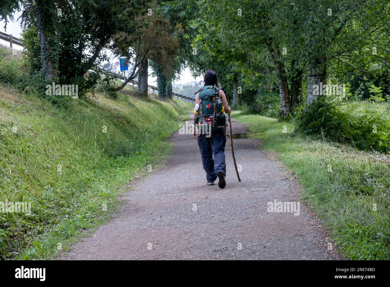 Young woman pilgrim walking on a trail of the way of saint james ...