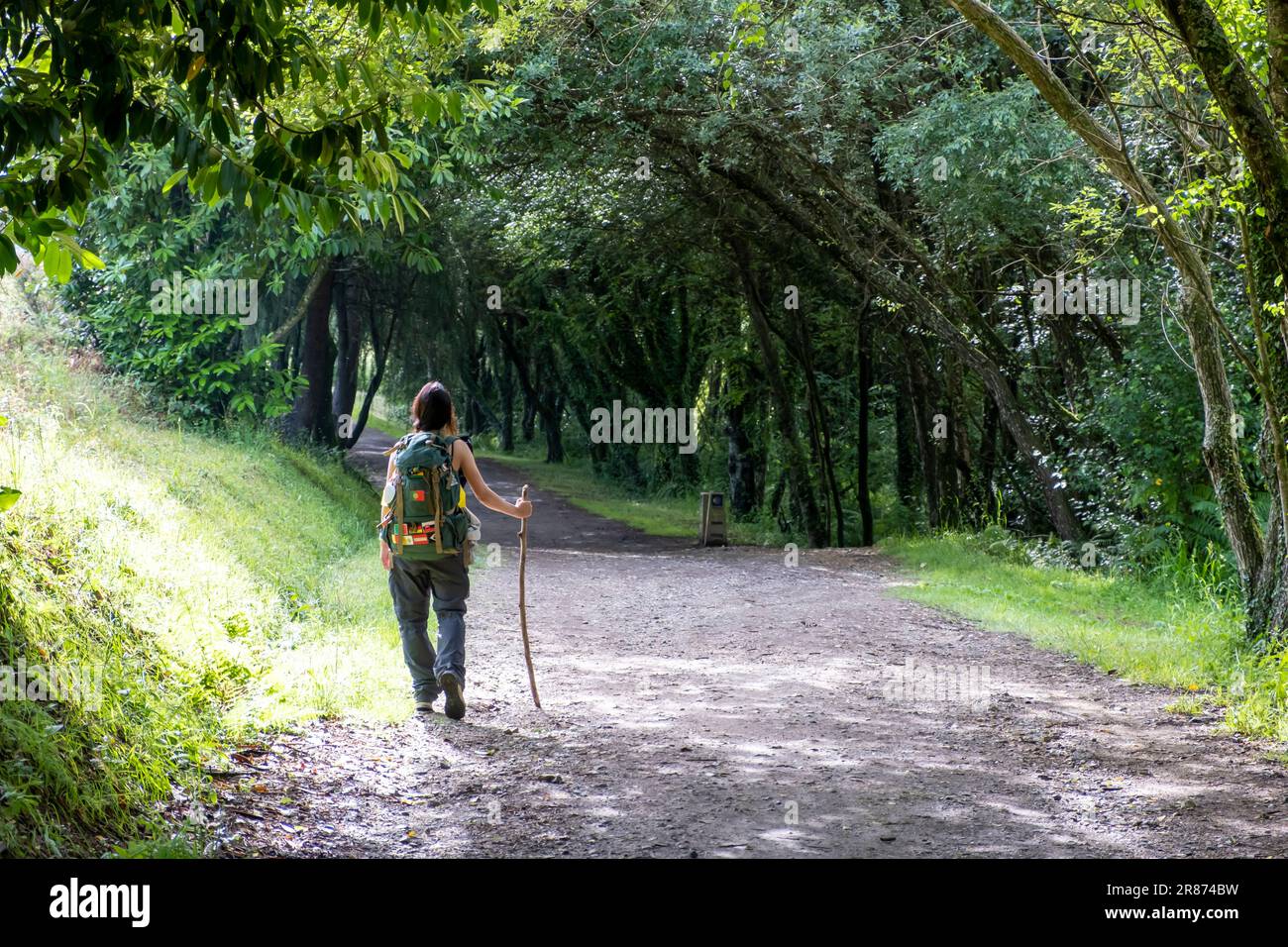 Young woman pilgrim walking on a trail of the way of saint james ...