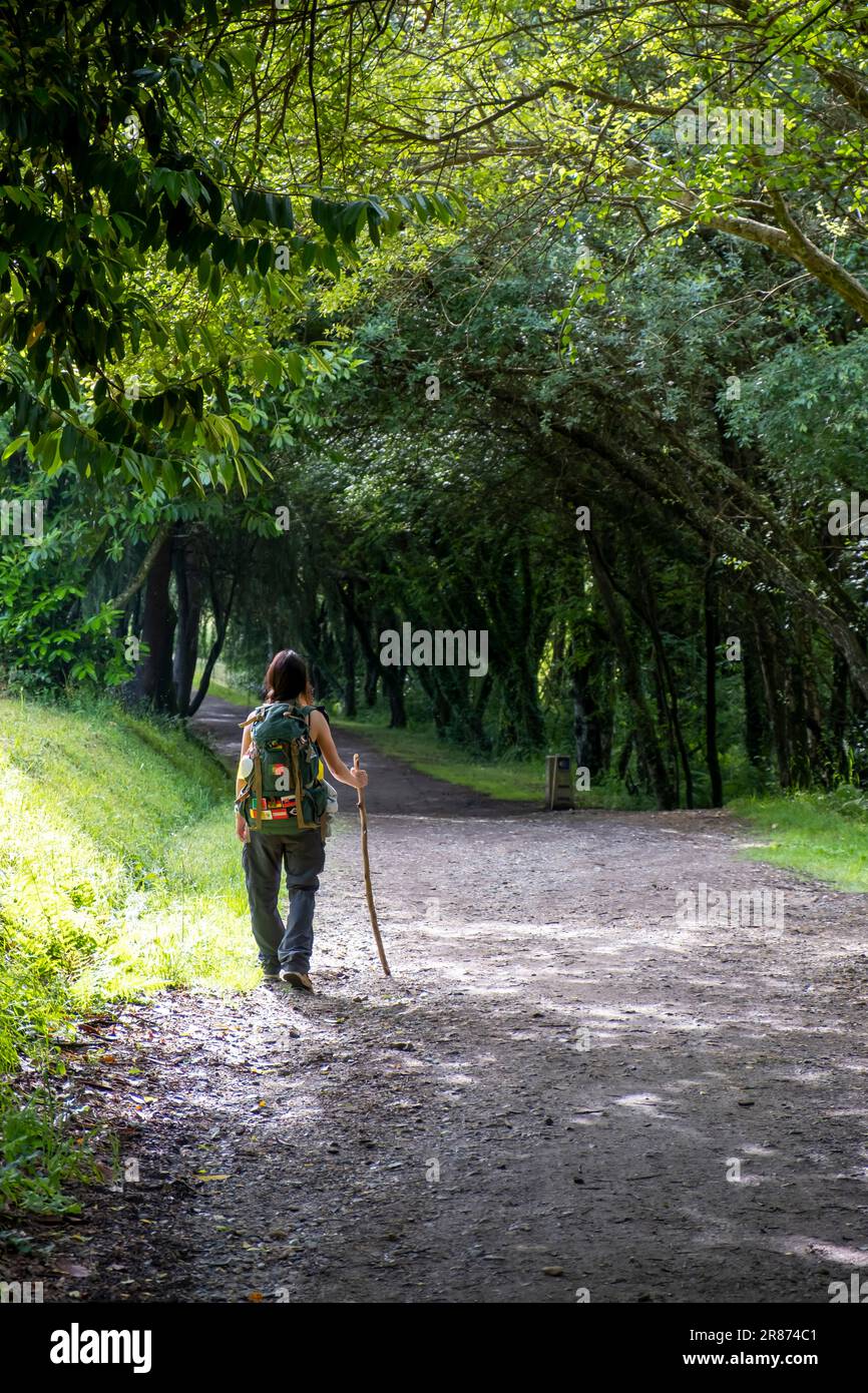 Young woman pilgrim walking on a trail of the way of saint james ...