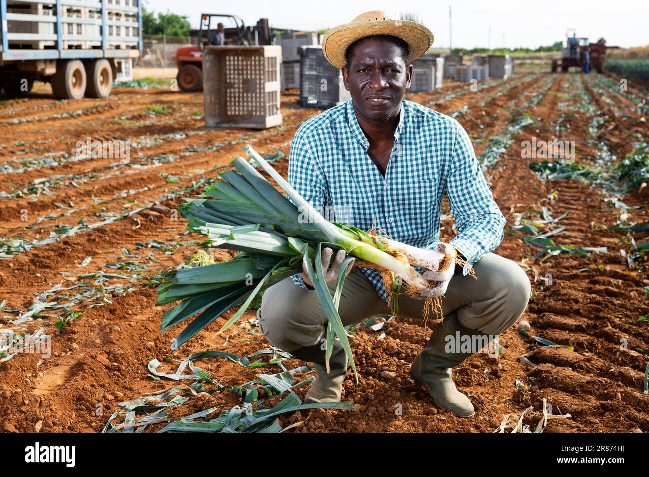 Man in a leek field hi-res stock photography and images - Alamy