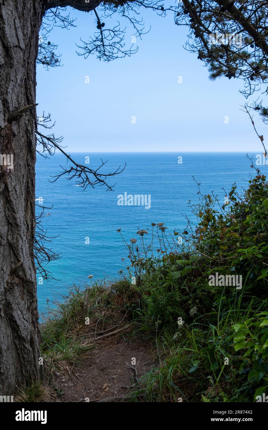 Tablizo hi-res stock photography and images - Alamy