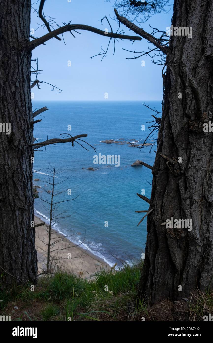 Tablizo hi-res stock photography and images - Alamy