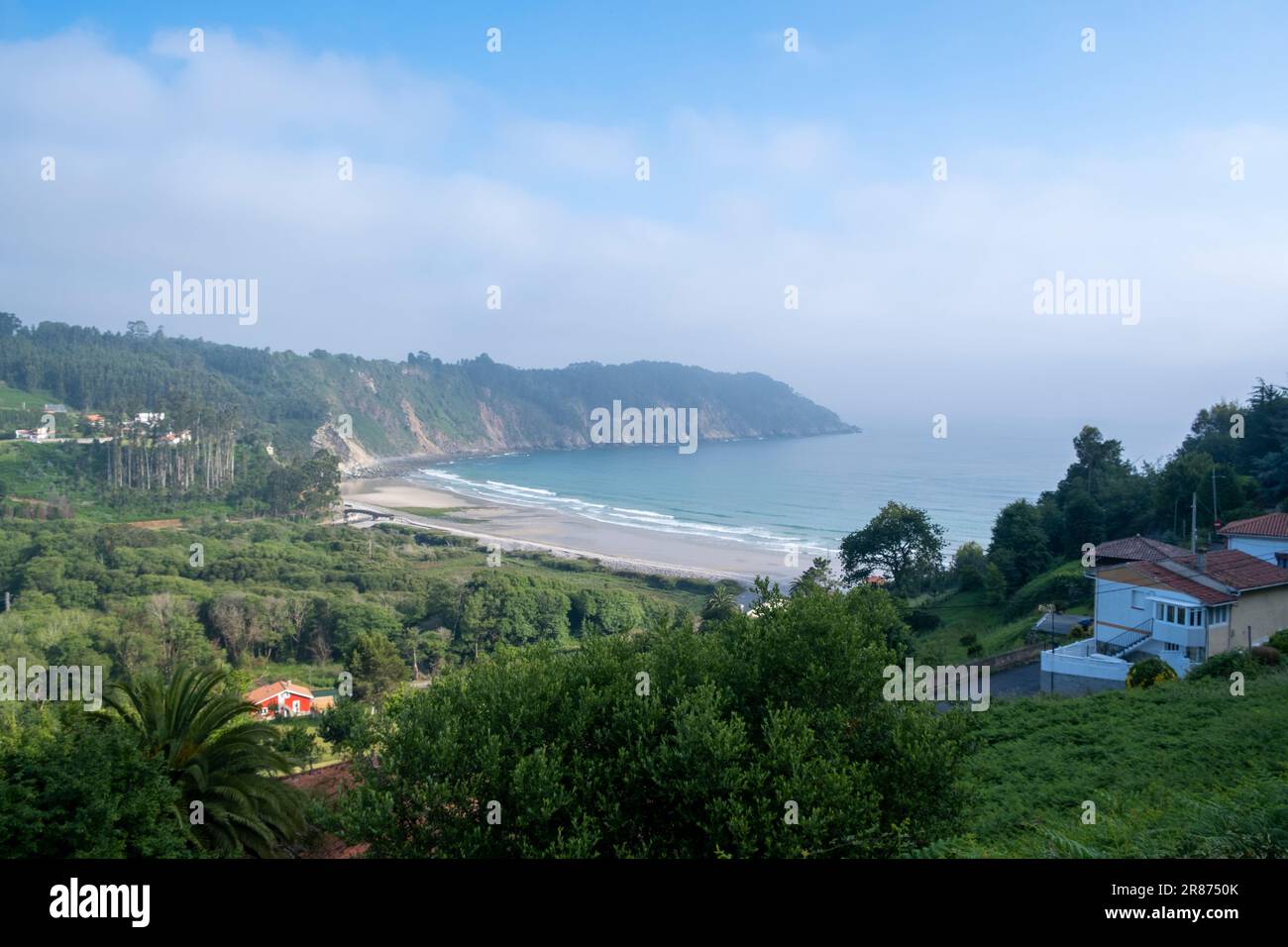 Magdalena concha hi-res stock photography and images - Alamy