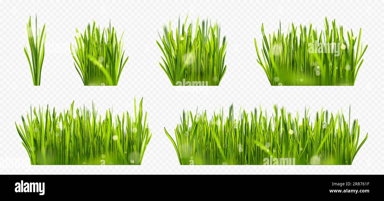 Garden lawn long grass border hi-res stock photography and images - Alamy