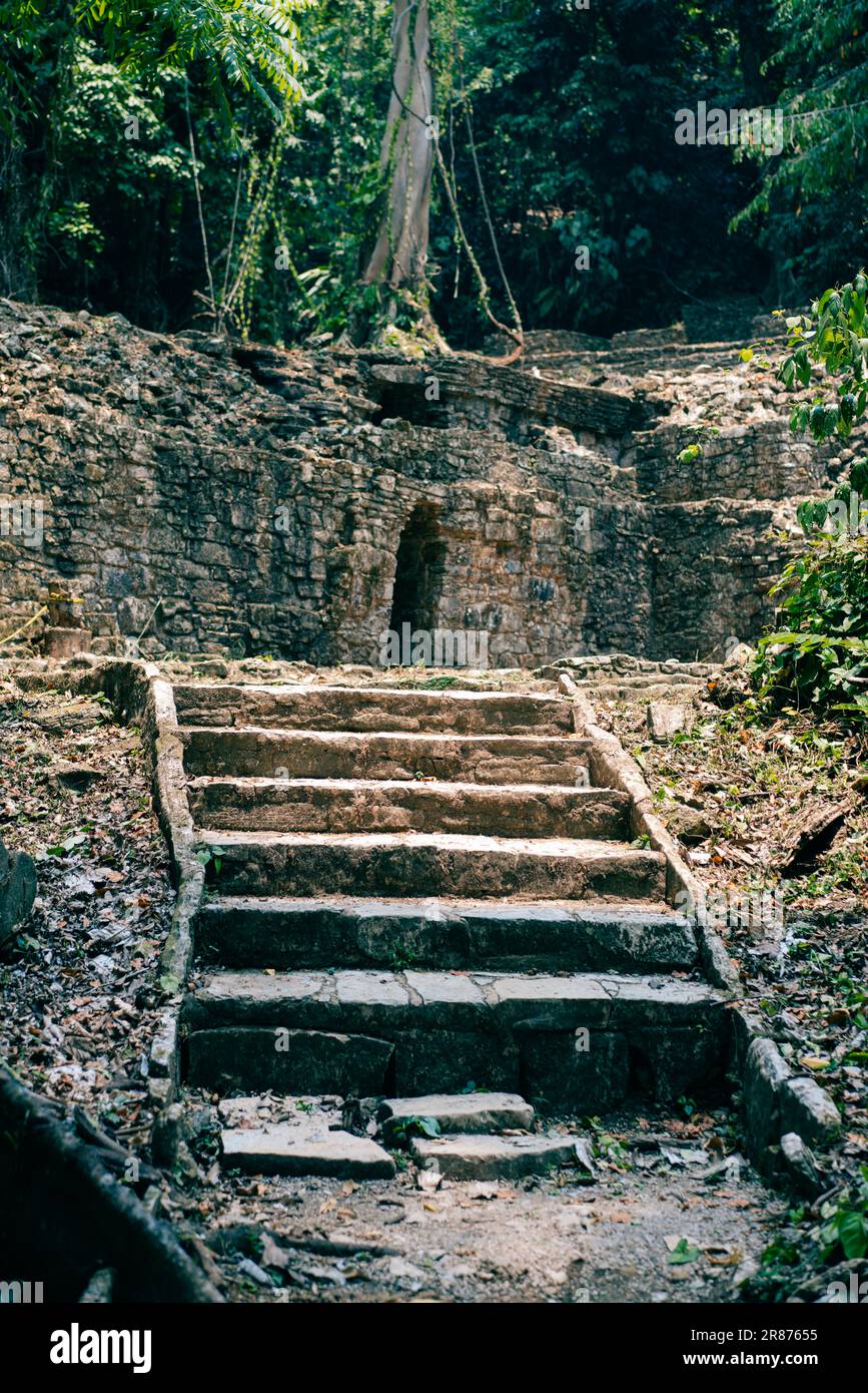 Beautiful landscape of Agua Azul cascades park in Palenque, Mexico ...