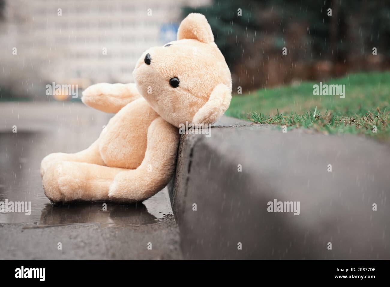 Lonely teddy bear in puddle on rainy day Stock Photo - Alamy
