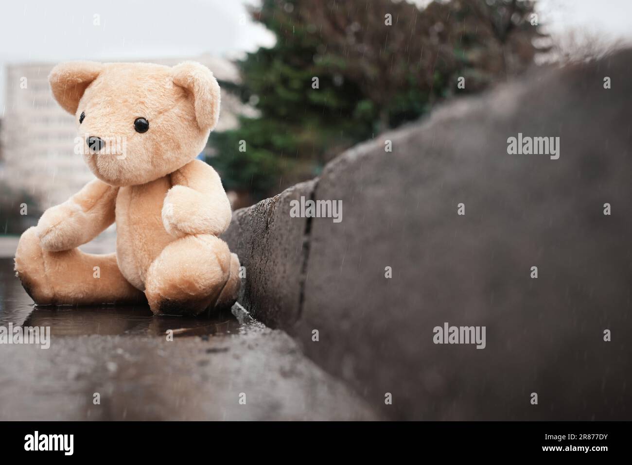 Lonely teddy bear in puddle on rainy day Stock Photo - Alamy