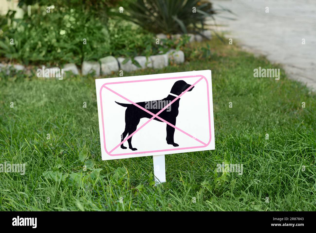 Sign board No Dogs Allowed on green grass outdoors Stock Photo - Alamy