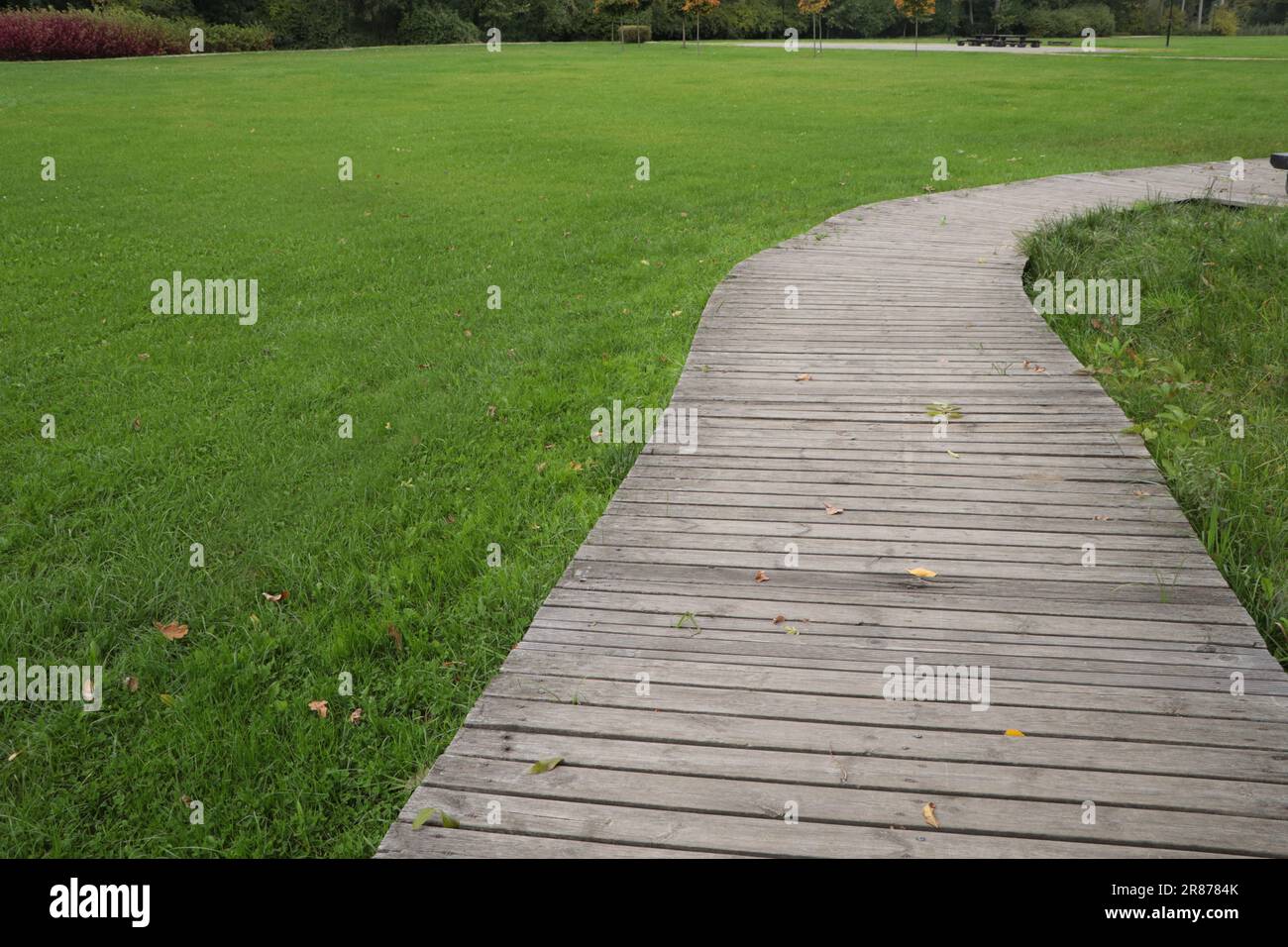 Beautiful public city park with pathway and green grass Stock Photo - Alamy