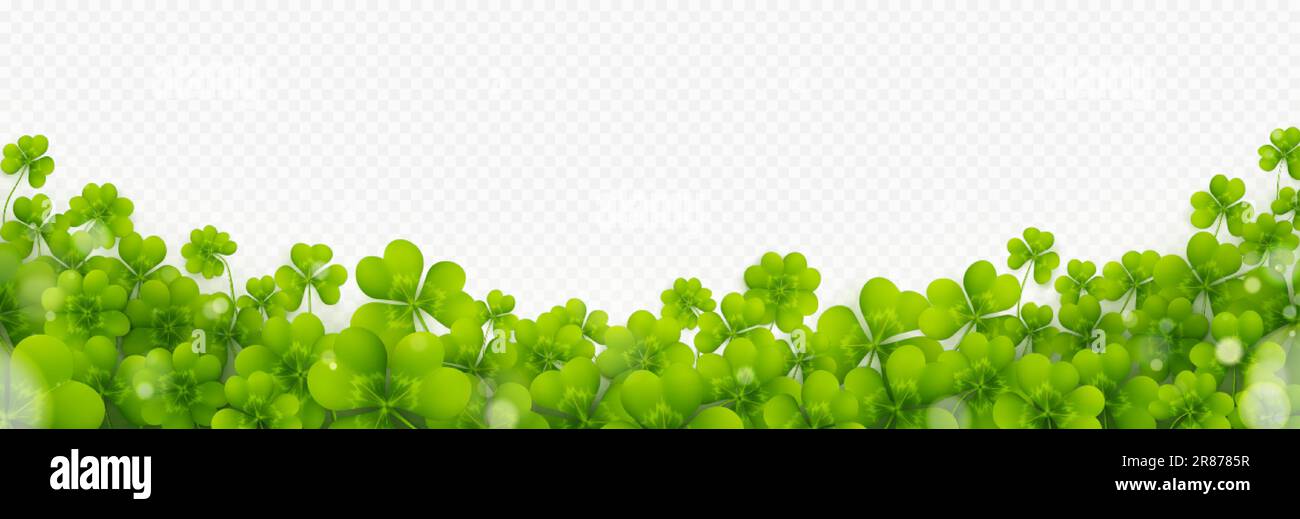Shamrock clover four leaf St Patrick day lucky green vector border pattern. Realistic cloverleaf ...