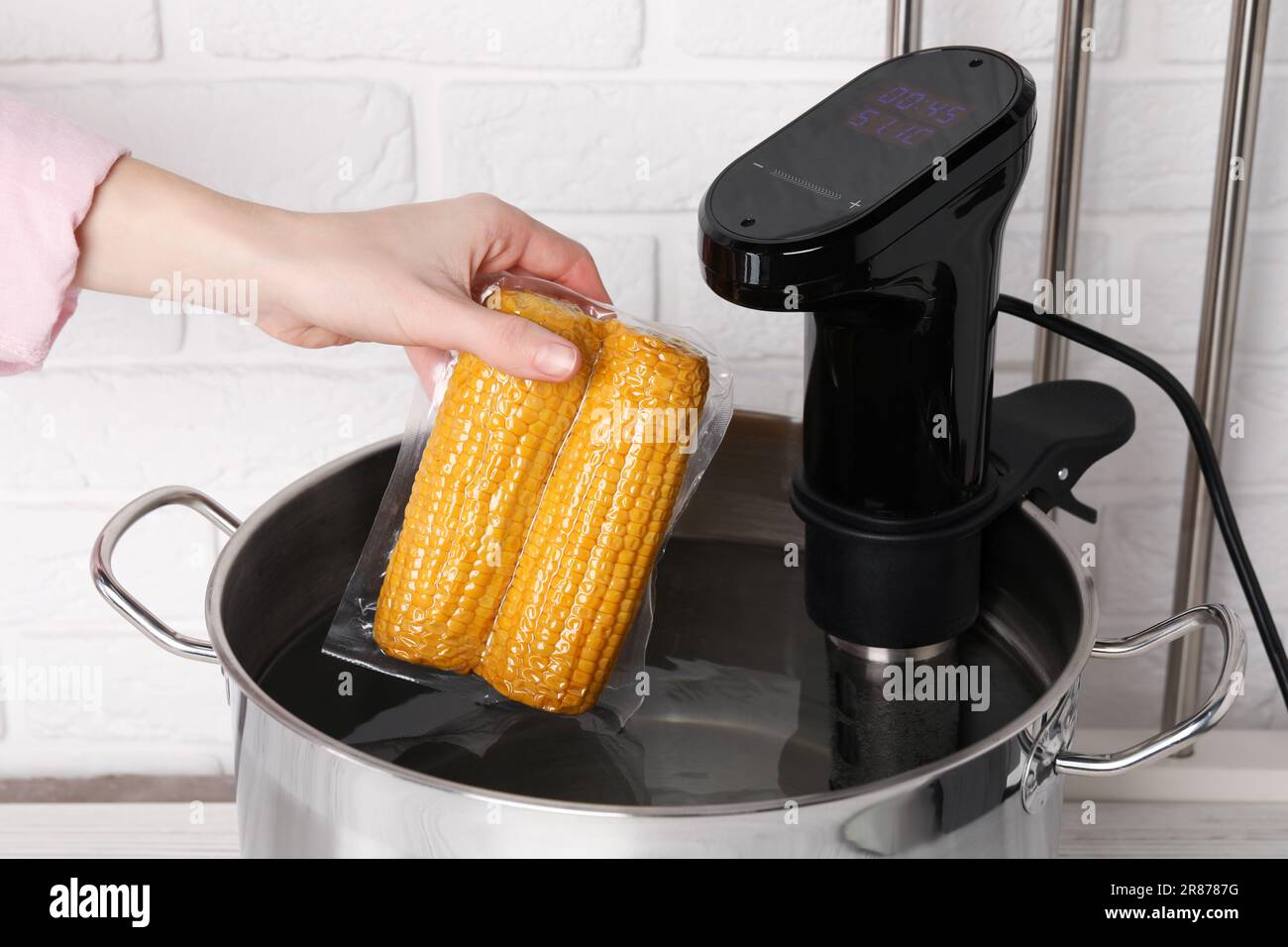 Woman putting vacuum packed corn into pot, closeup. Sous vide cooking ...