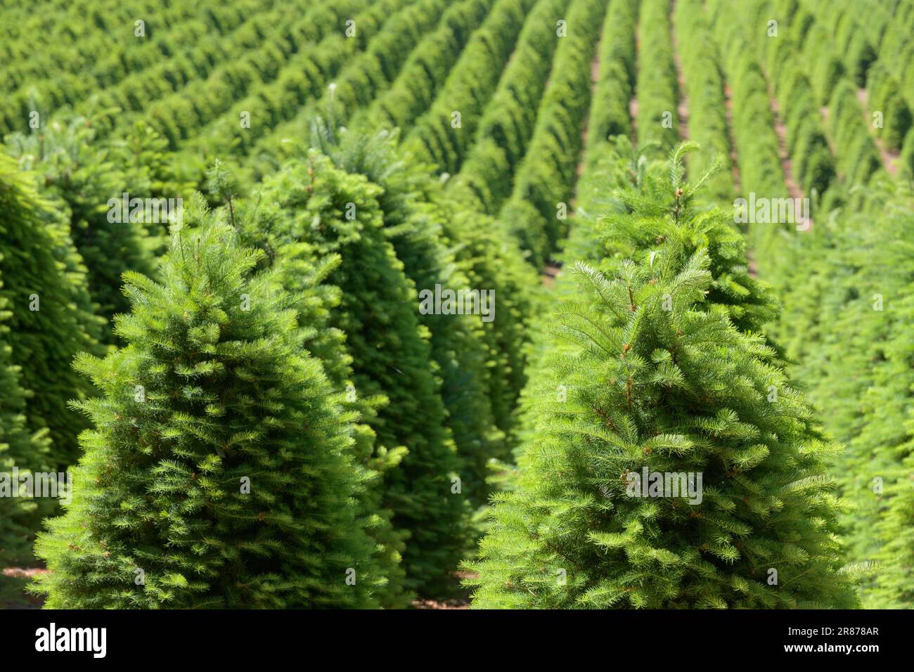 Ai in agriculture hi-res stock photography and images - Alamy