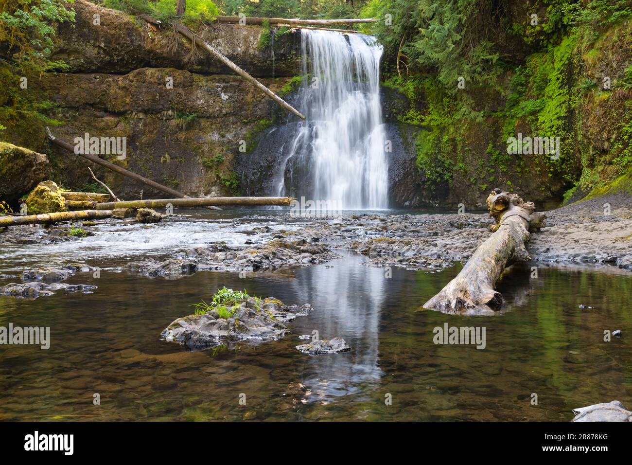 Upper North Falls at Silver Falls State Park with reflection in summer ...