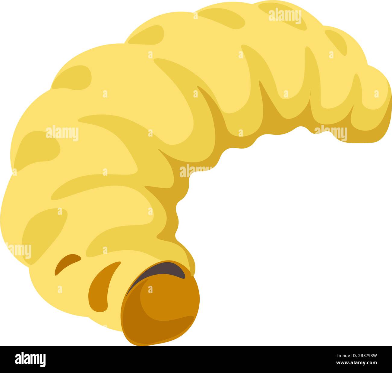 Grub bee larvae with no legs lifecycle vector Stock Vector Image & Art ...