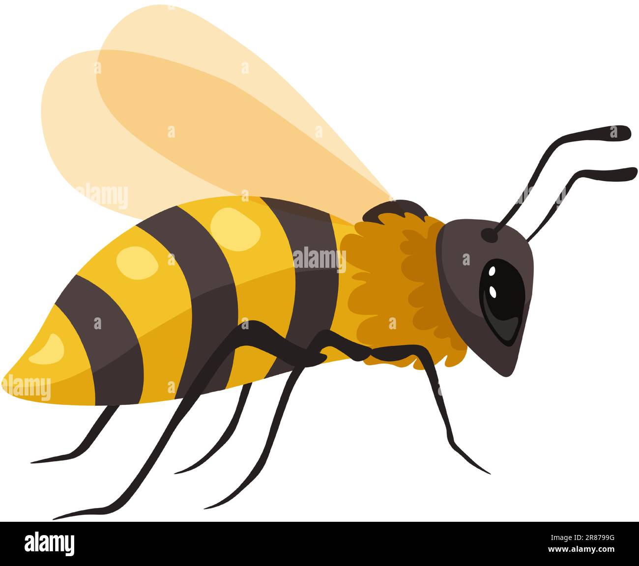 Bee social insect honeybee colony, vector icon Stock Vector Image & Art ...