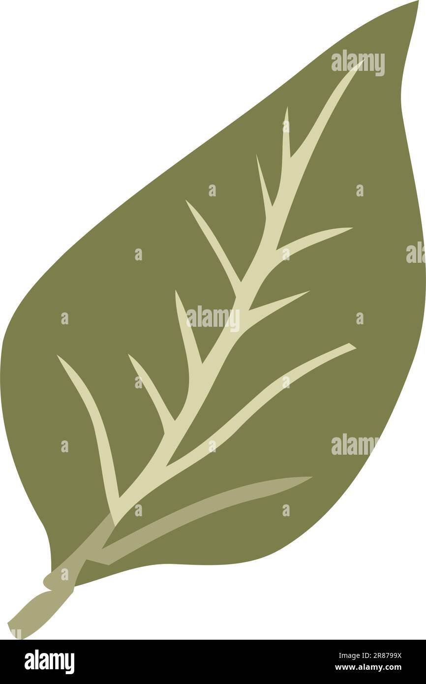 Green leaf symbolize growth in nature Stock Vector Image & Art - Alamy