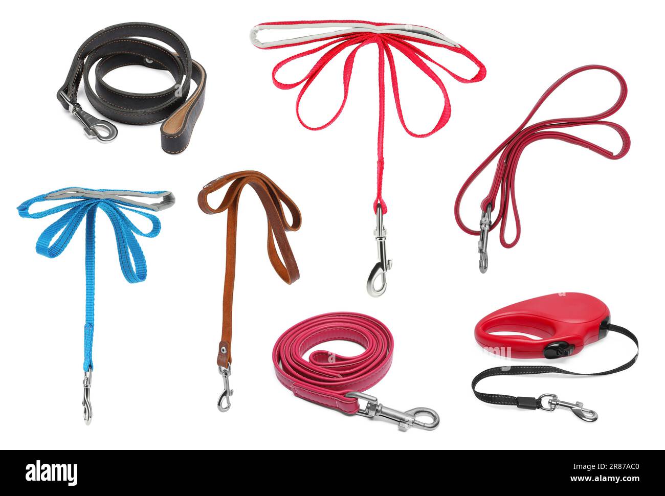 Different pet leashes on white background, collage design Stock Photo ...