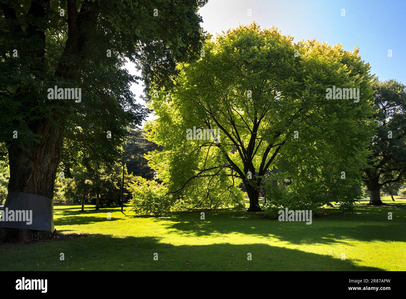 Carlton Gardens, Melbourne City Center, Victoria, Australia Stock Photo ... Carlton Gardens, Melbourne City Center, Victoria, Australia Stock Photo ...
