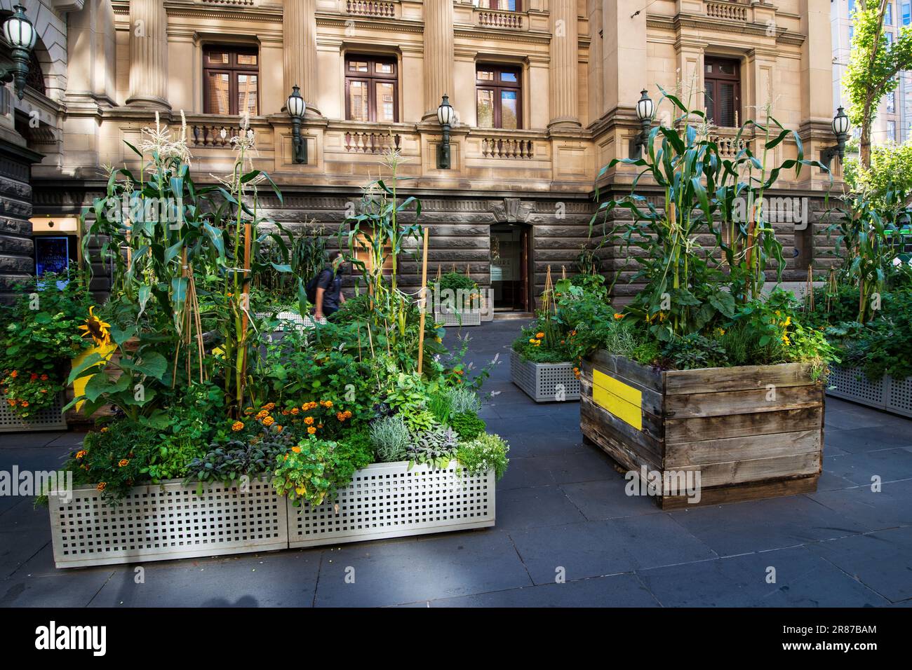 Historic Melbourne Town Hall, Melbourne, Victoria, Australia Stock ...