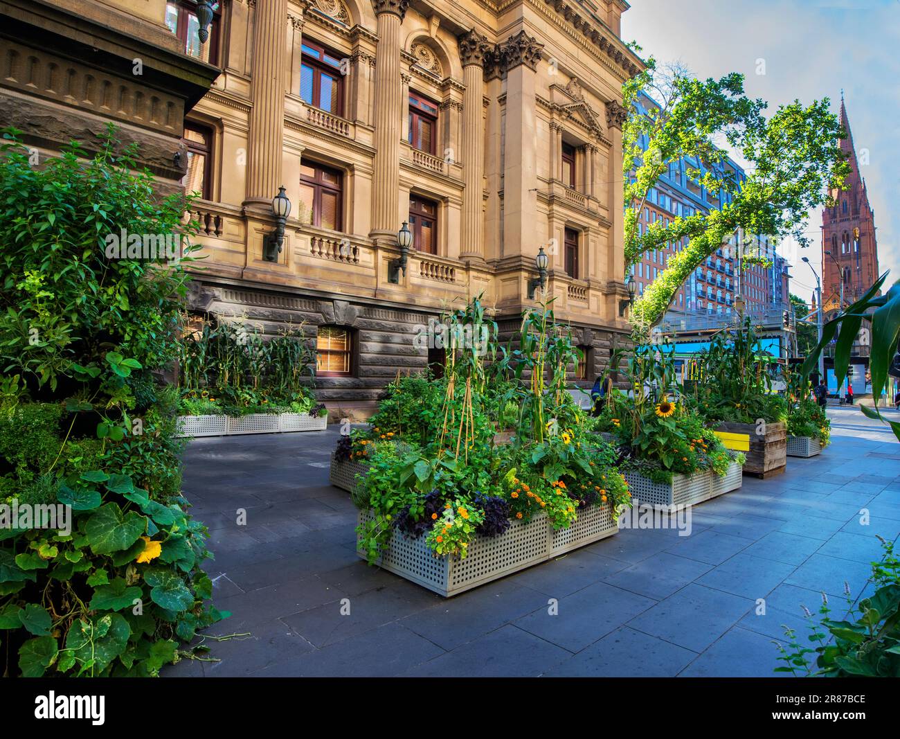 Historic Melbourne Town Hall, Melbourne, Victoria, Australia Stock ...