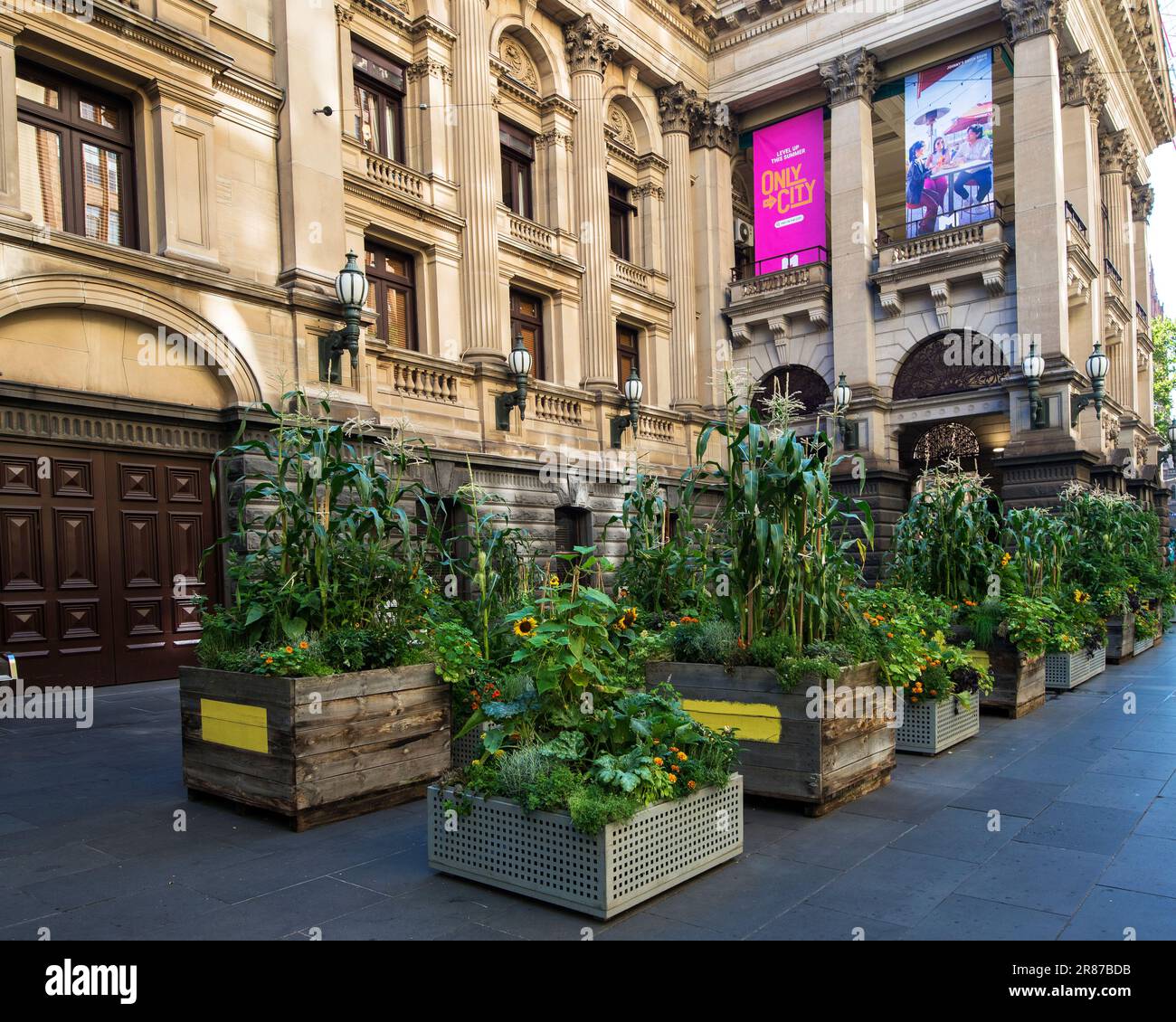Historic Melbourne Town Hall, Melbourne, Victoria, Australia Stock ...