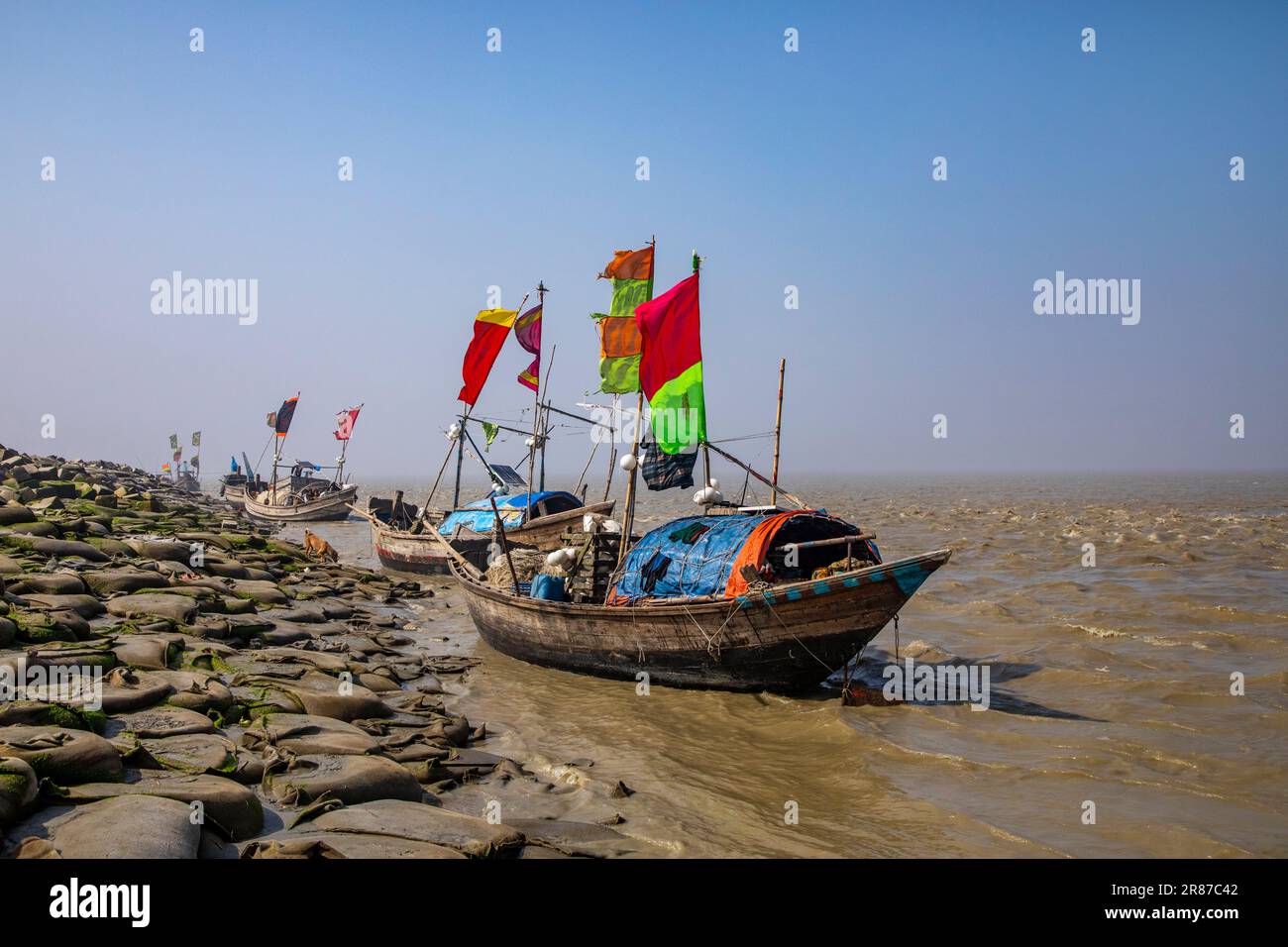 Hilsha fishing at the Meghna River. Hilsha fish is the national fish of ...