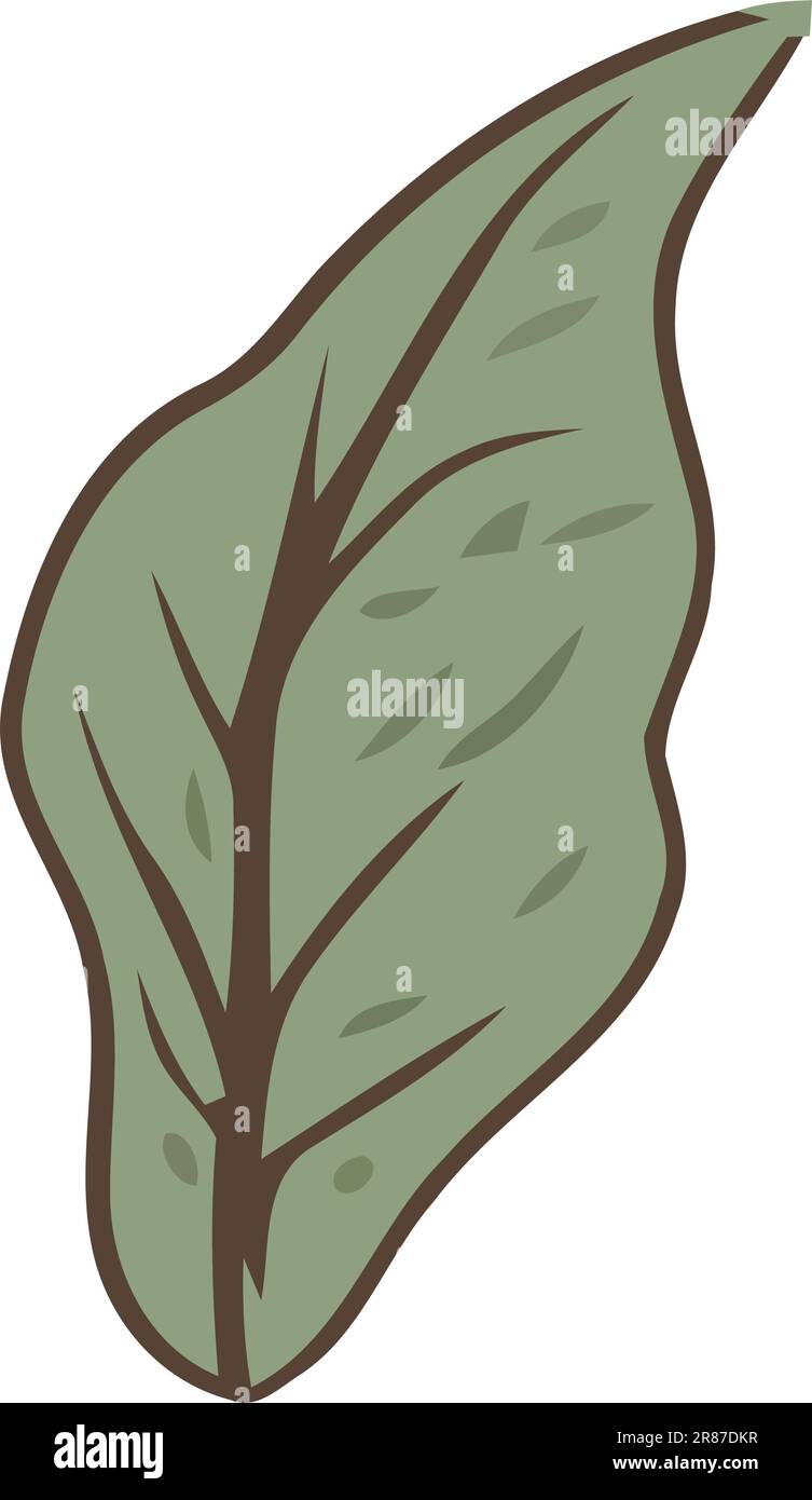 Fresh green leaf symbolize nature organic growth Stock Vector Image ...
