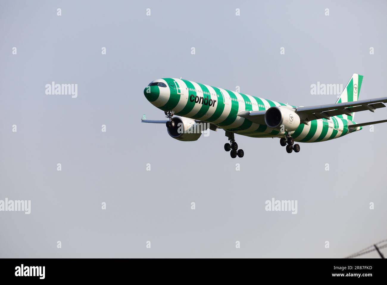 Condor Airlines Airbus 330-941 Landing at Pearson Airport, Toronto ...