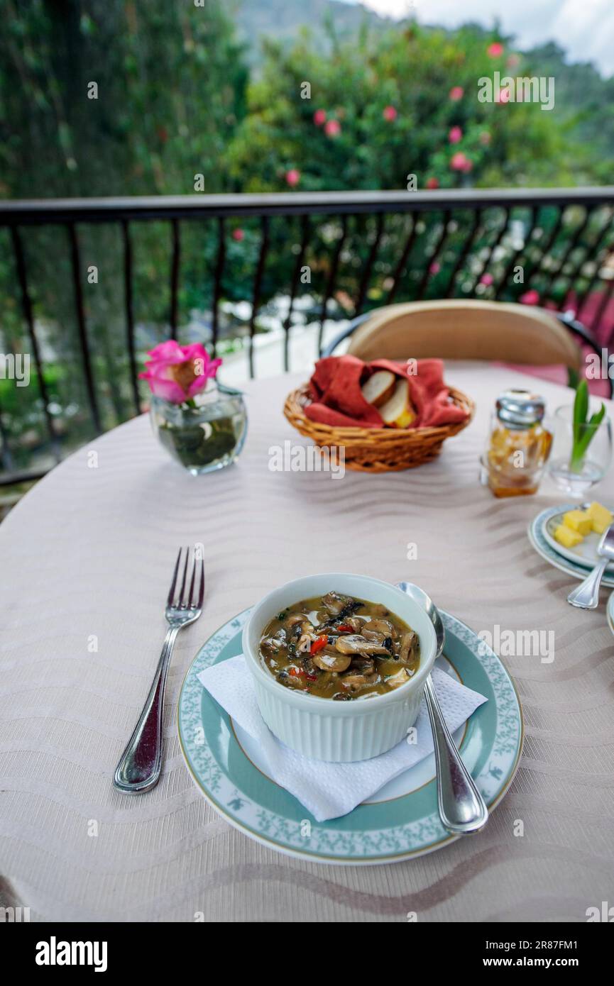 Mushroom soup appetizer being served on a table in the Andes Mountains ...