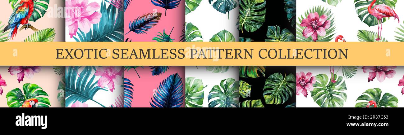 Exotic patterns seamless collection. Palm leaves, monstera, parrots and ...