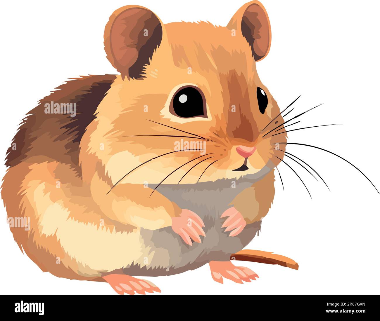Fluffy mouse sitting, looking with cute whiskers Stock Vector Image ...