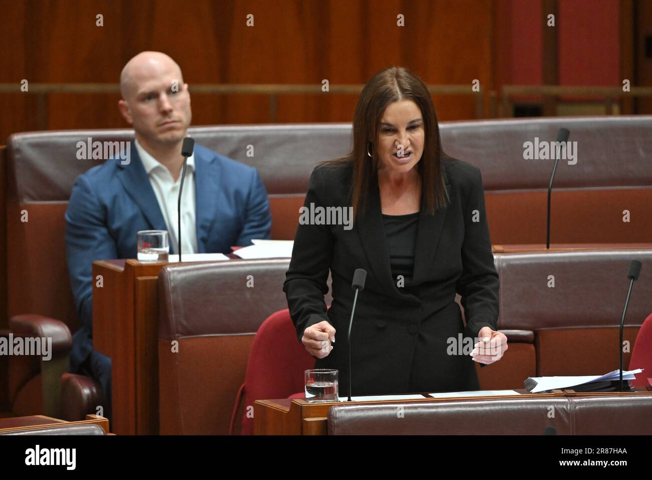 Canberra, Australia. 20th June, 2023. Jacqui Lambie Network Senator ...