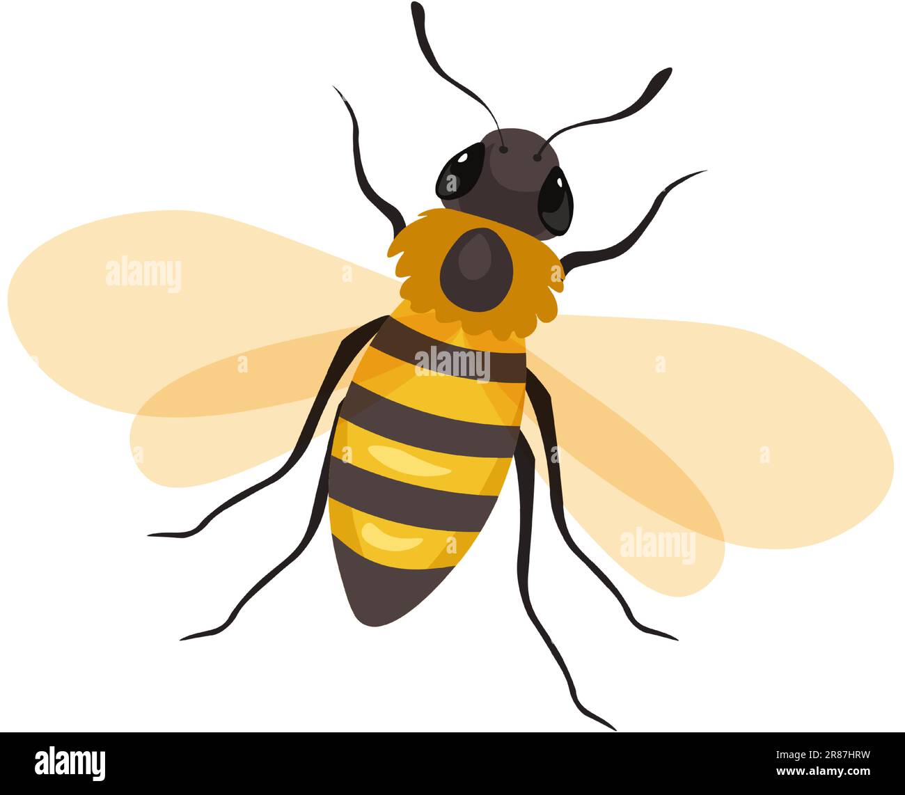 Bee flying, honeybee insect with wings vector Stock Vector Image & Art ...