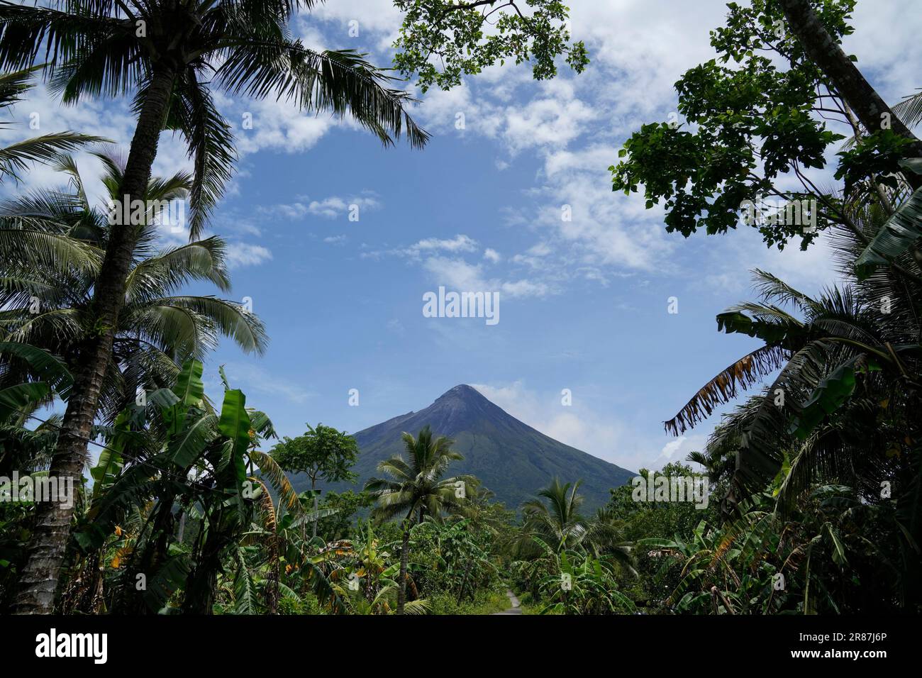 Mayon volcano is seen from the government declared permanent danger ...