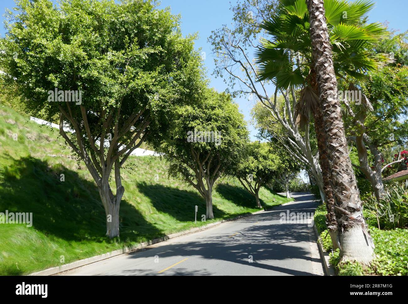 Beverly Hills, California, USA 17th June 2023 Rapper/Singer Post Malone ...